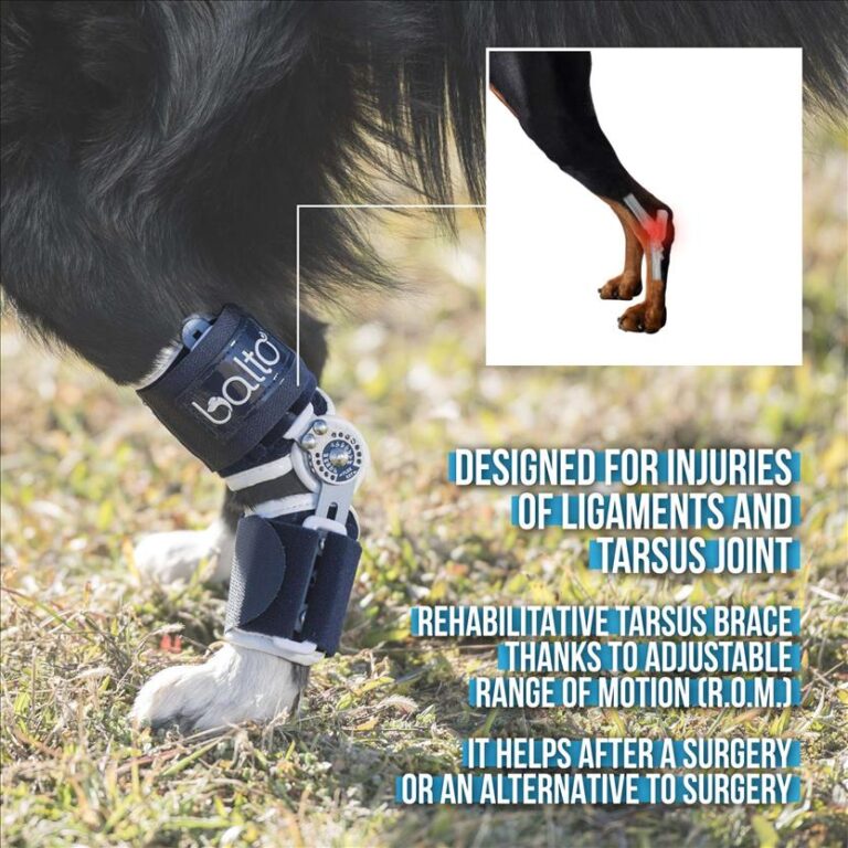Balto Flexor - Dog Hinged Hock Brace - Alpha Mobility UK - Dog / Pet ...